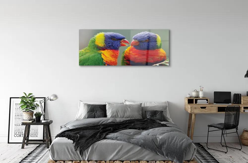 akrylový obraz barevný papoušek 120x60 cm