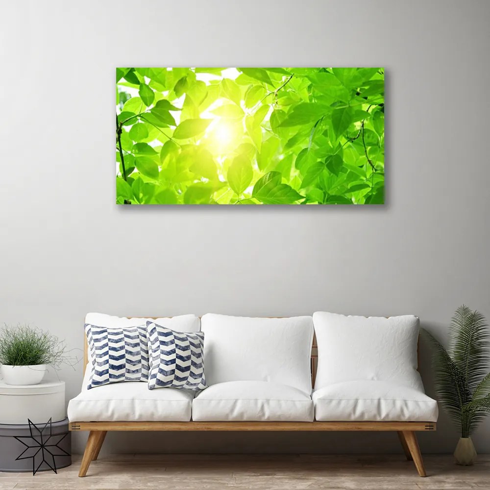 Obraz na plátně Listy Příroda Slunce Rostlina 125x50 cm