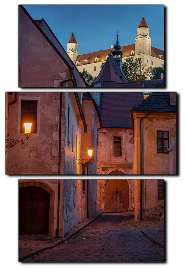 Obraz na plátně - Bratislava staré město s hradem vzadu- obdélník 7265C (105x70 cm)