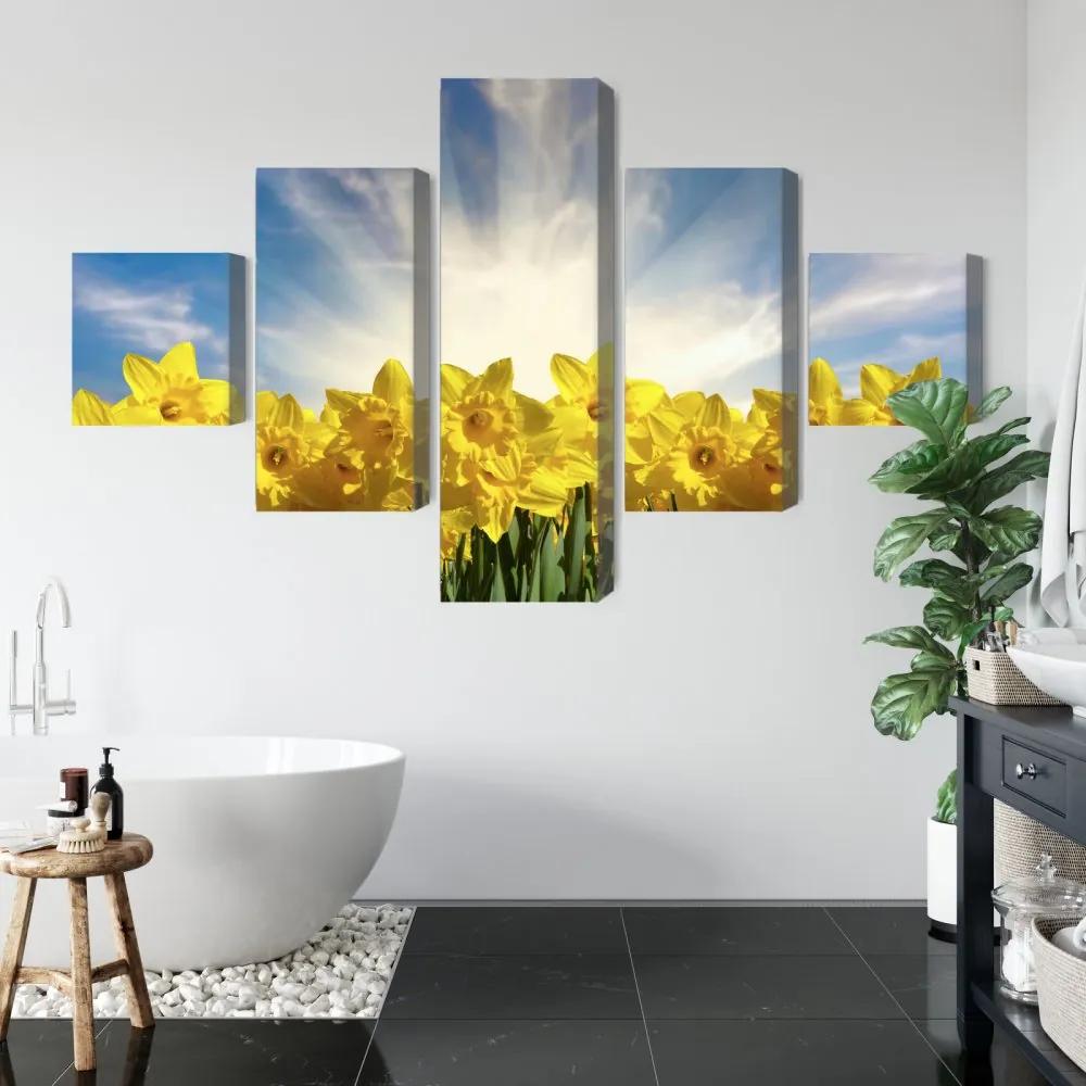Vícedílný obraz 3D Pole Narcisů Nedostatek Nedostatek Přírodní plátno 150x90