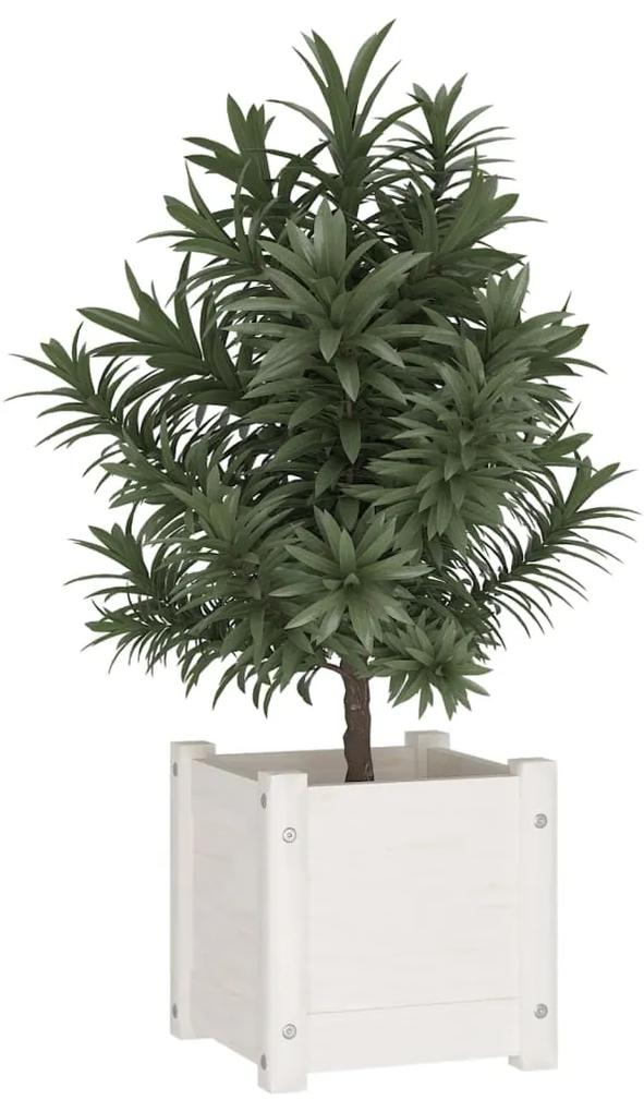 Zahradní truhlíky 2 ks bílé 31 x 31 x 31 cm masivní borovice - Default Title