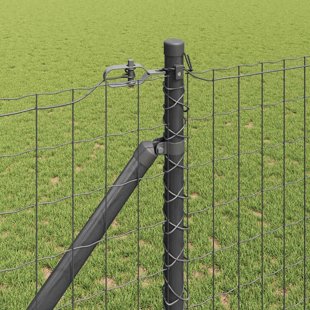 Evropský plot se hroty 25 x 1,2 m Ocel potažená PVC Šedá 3350675