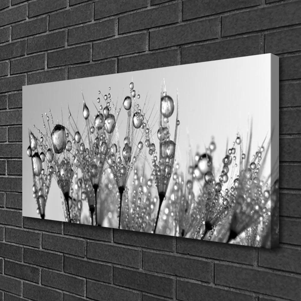 Obraz na plátně Abstrakce Rostlina Příroda 120x60 cm