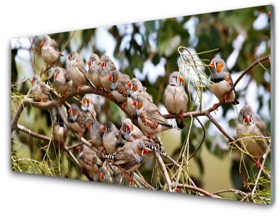 Obraz na skle Ptáci Zvířata 120x60 cm