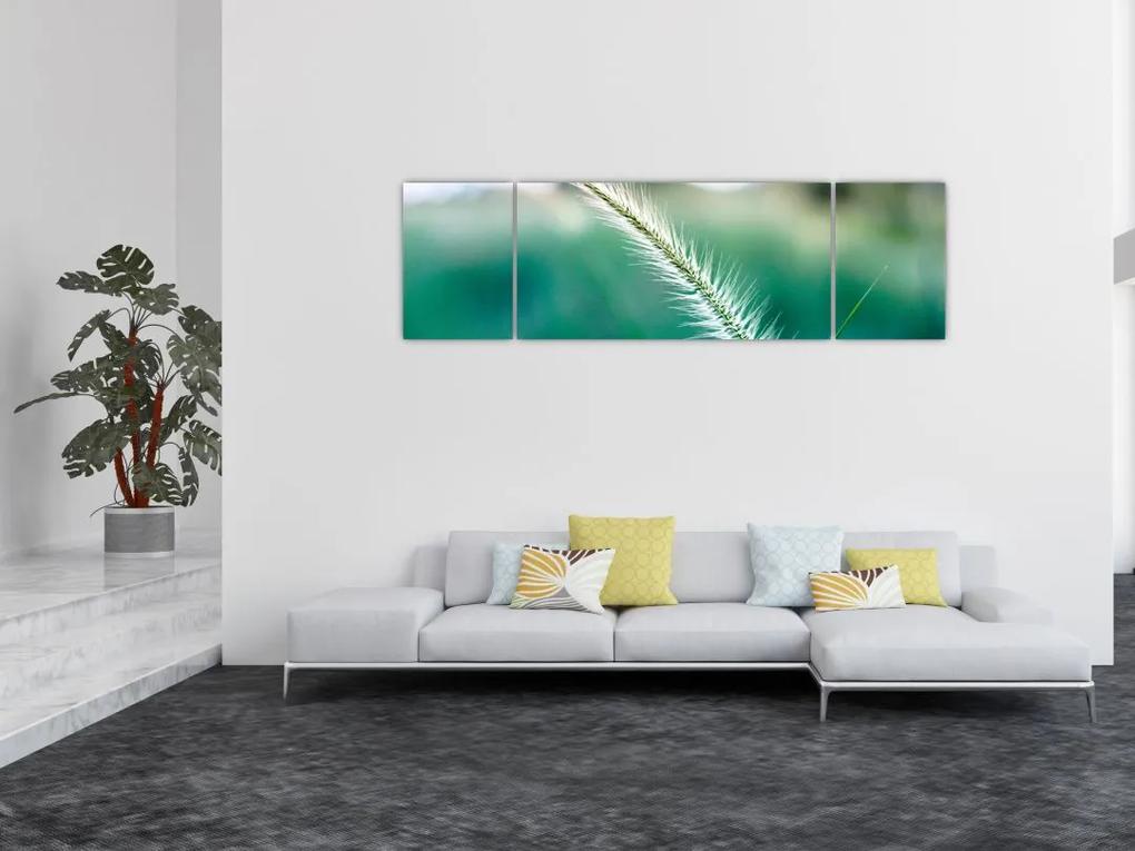 Obraz stébla trávy (170x50 cm)