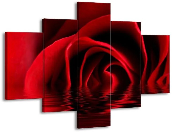 Rudá růže 100x70 cm