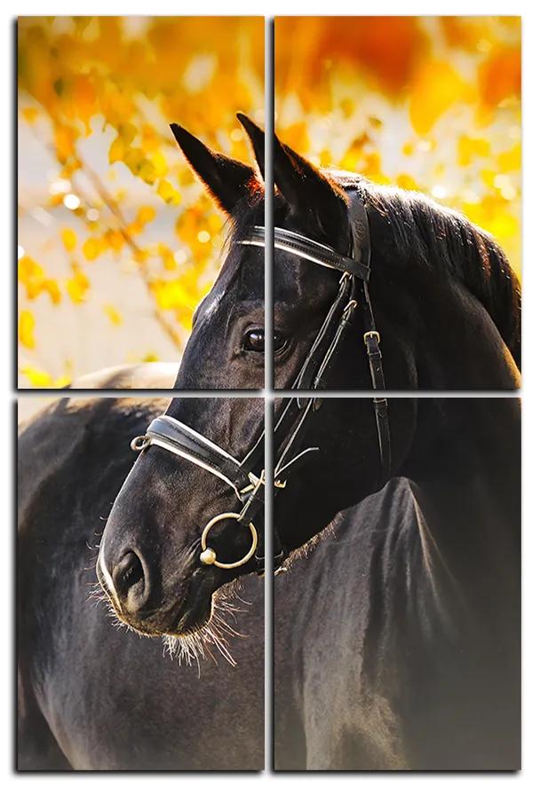 Obraz na plátně - Černý kůň - obdélník 7220E (90x60 cm)