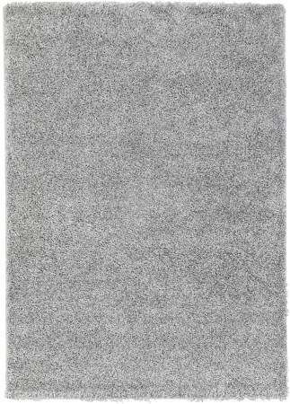 Koberce Breno Kusový koberec LIFE 1500 Light Grey, Stříbrná, 160 x 230 cm