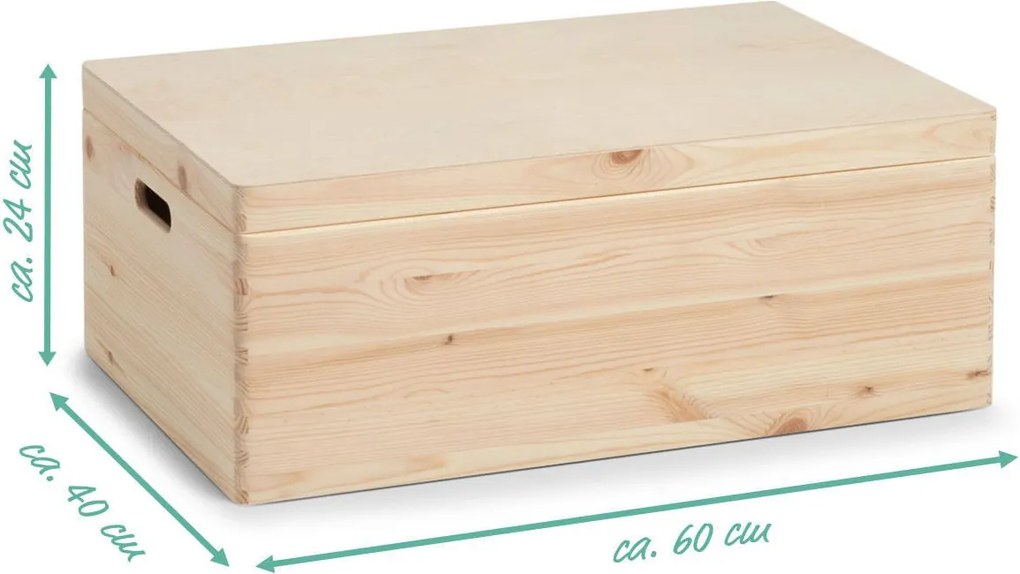 Skladovací kontejner s víkem, organizátor 58 l, ZELLER