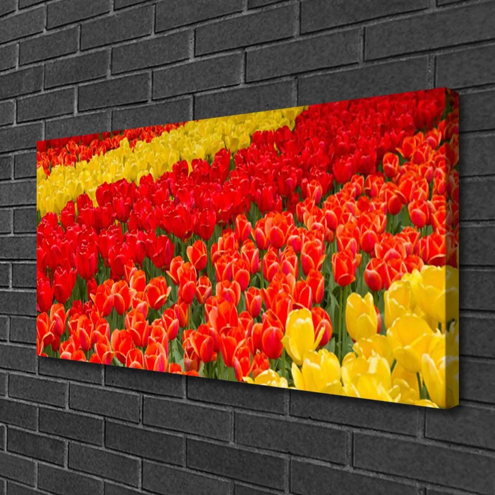 Obraz na plátně Tulipány Květiny 120x60 cm