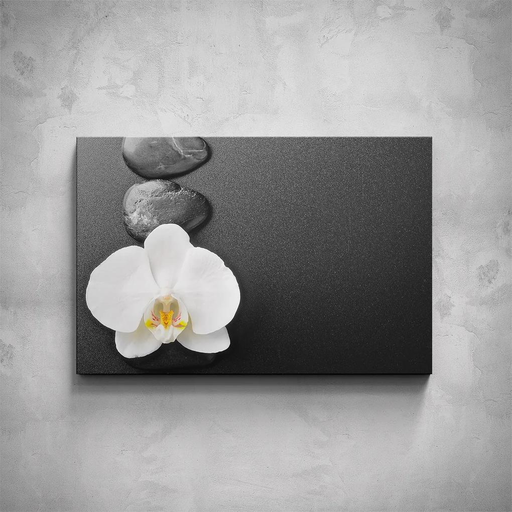 Obraz - Bílá orchidej květ - PopyDesign