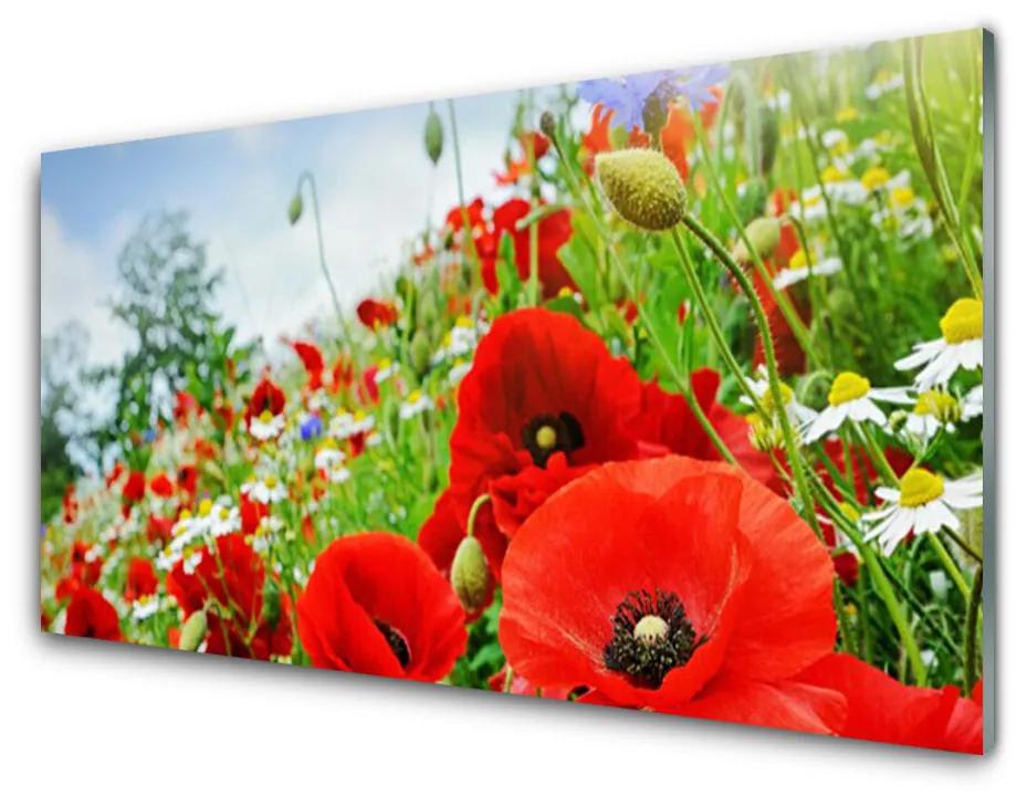 Obraz na skle Květiny Příroda 125x50 cm