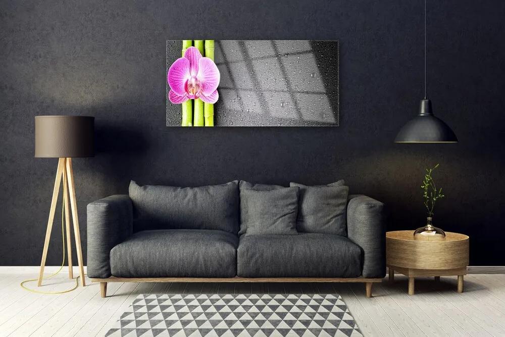 Obraz na skle Bambus Květ Orchidej 120x60 cm
