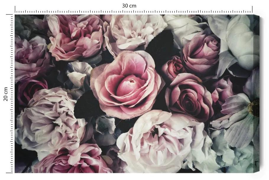 Obraz Růžové Květy Ve Stylu Vintage Nedostatek Nedostatek Přírodní plátno 90x60