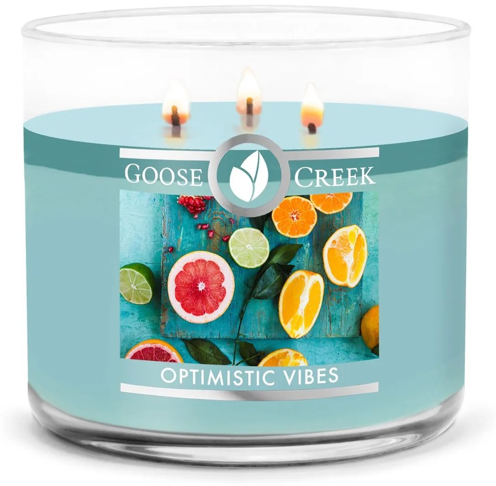 Goose Creek Candle svíčka Optimistic Vibes, 411 g