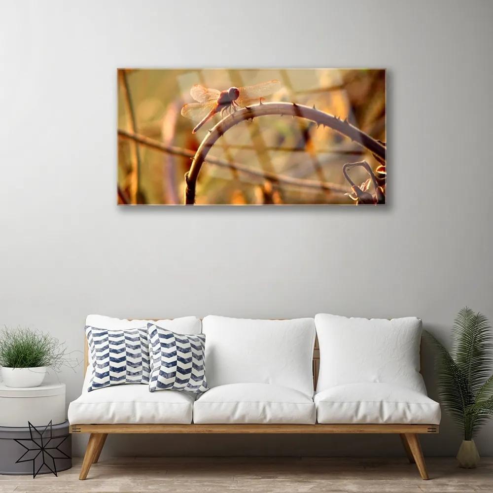 Obraz na skle Vážka Příroda Rostlina 120x60 cm