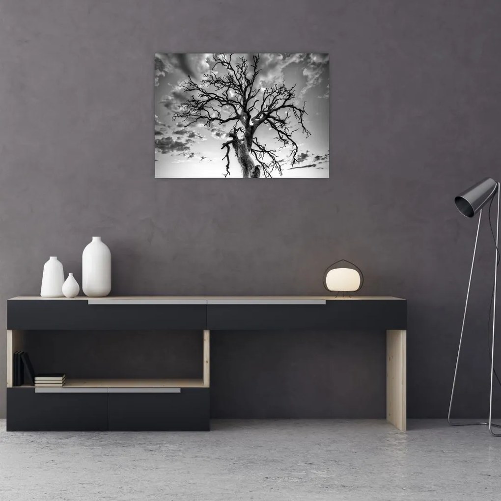 Skleněný obraz - Černobílý strom (70x50 cm)