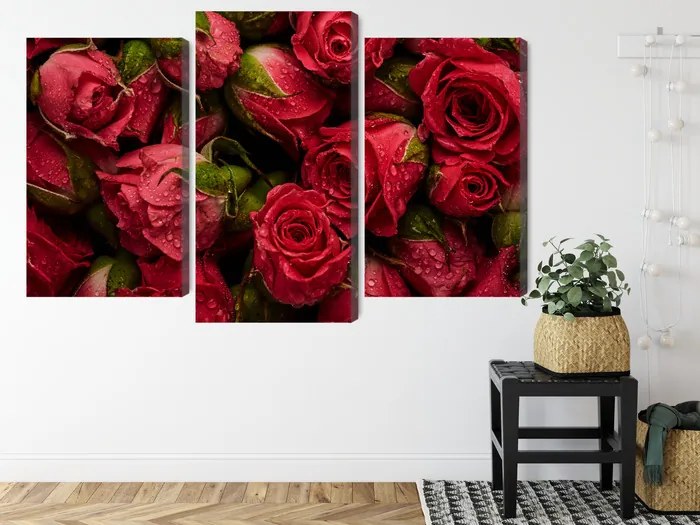 Vícedílný obraz Růže S Kapkami Vody Nedostatek Nedostatek Plátno Canvas 180x120