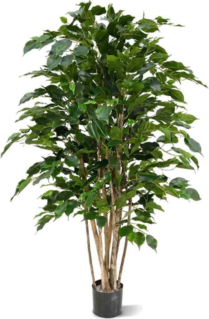 Ficus Benjamina umělý V 120 cm