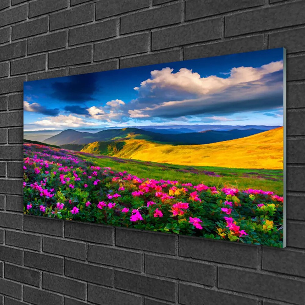 Obraz na skle Louka Květiny Příroda 100x50 cm