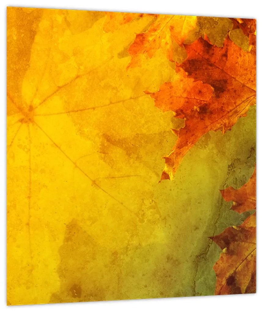 Obraz - Podzimní listy (30x30 cm)