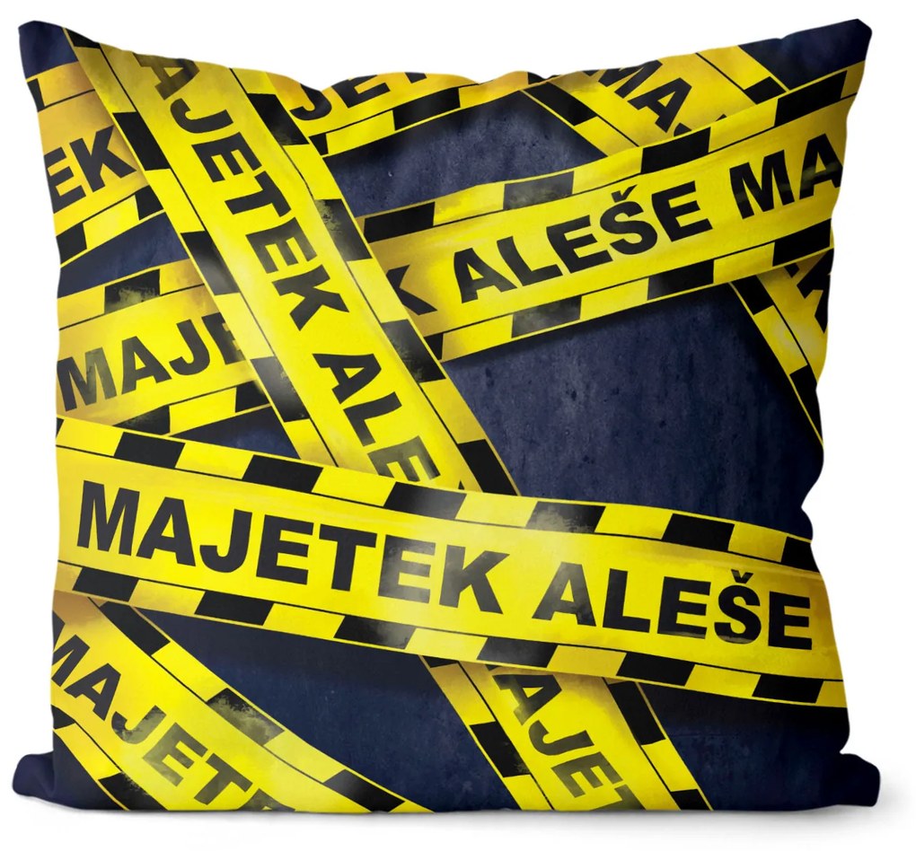 Polštář Majetek + jméno - mužská jména (Velikost: 55 x 55 cm, Jméno: Aleš)