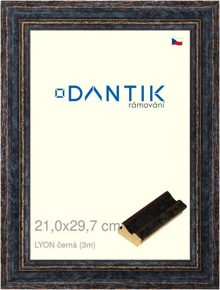 DANTIK rámeček 21x29,7 | LYON černá (Sklo Čiré)
