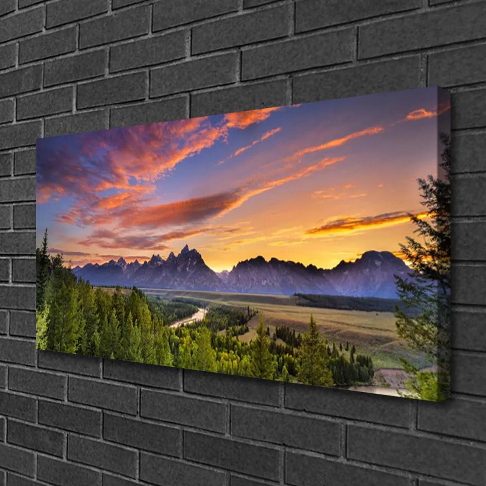 Obraz na plátně Hora Les Slunce Příroda 100x50 cm
