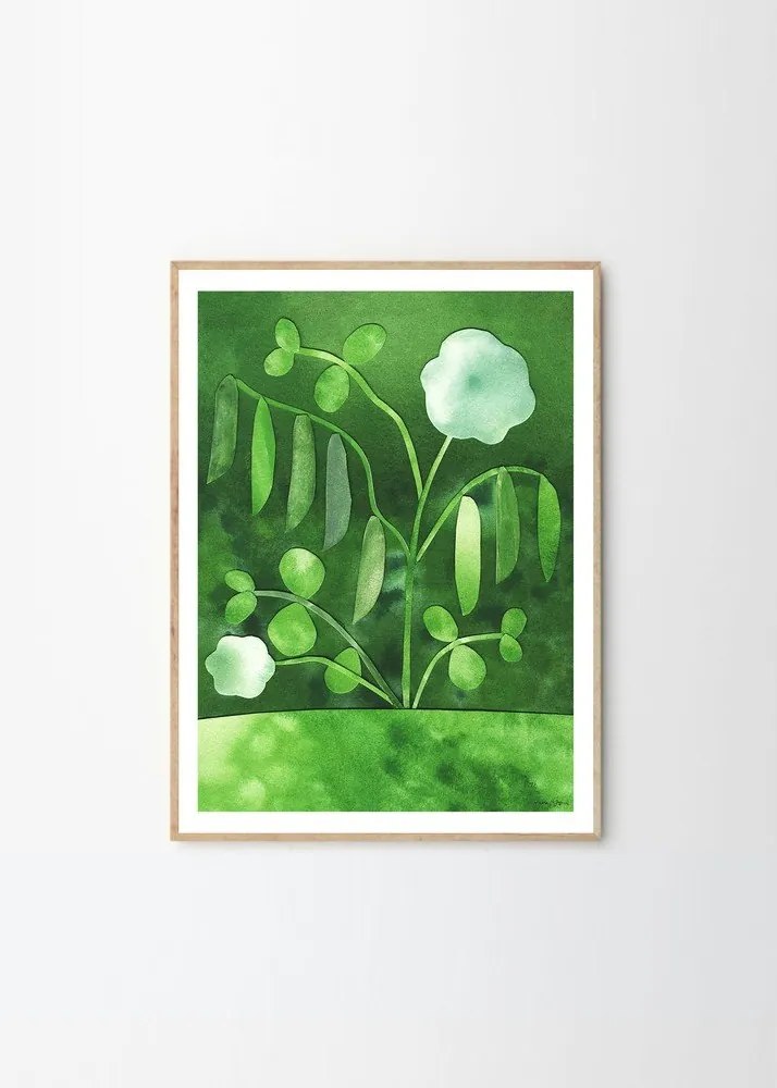Plakát 50x70 cm Peas in Bloom – Anna Ravn Bjørn – The Poster Club
