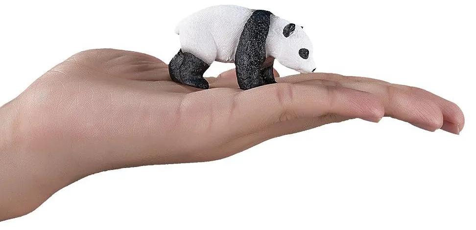 Mojo Panda velká mládě