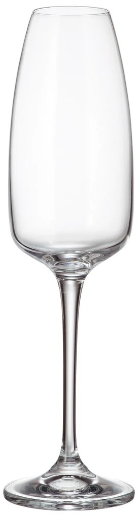 Crystalite Bohemia sklenice na šampaňské Anser 290 ml 6KS