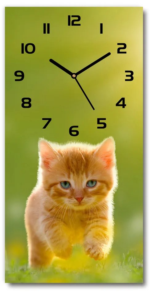 Wallmuralia Moderní hodiny nástěnné Červená kočka 30x60 cm