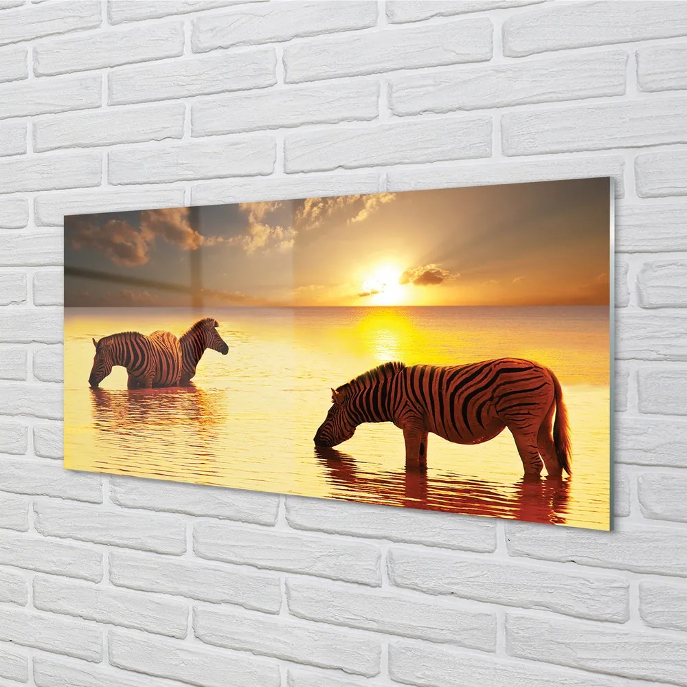 akrylový obraz Zebry voda západ slunce 120x60 cm