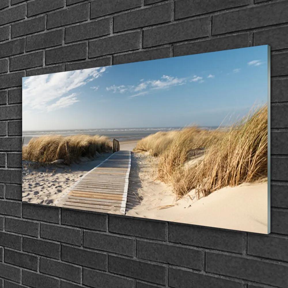 Obraz na skle Pláž Stezka Krajina 120x60 cm