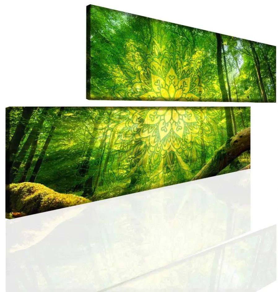 Obraz Mandala lesa Velikost (šířka x výška): 180x90 cm