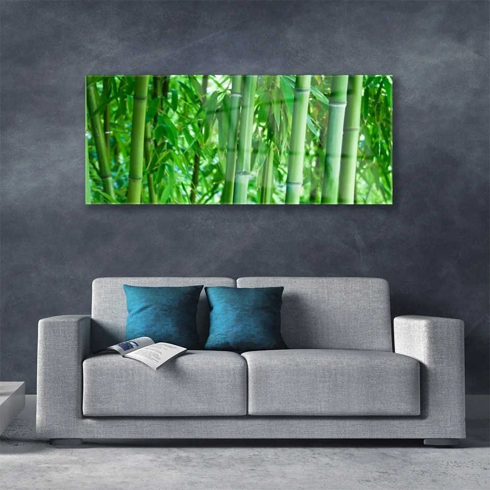 akrylový obraz Bambus Stonek Rostlina 125x50 cm