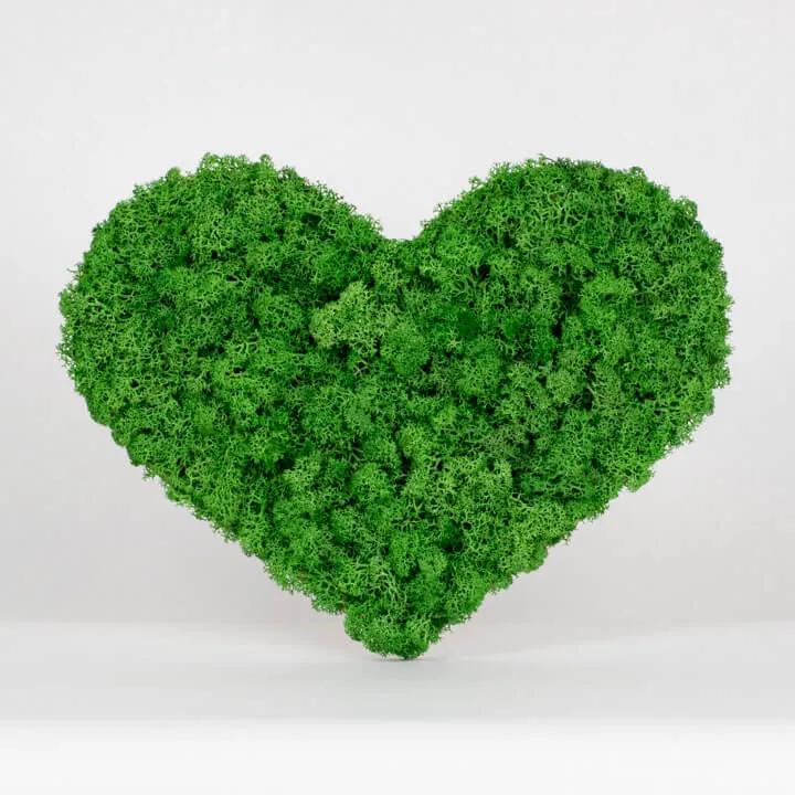 Mechový obraz | 33x25 cm | Srdce - lesně zelená