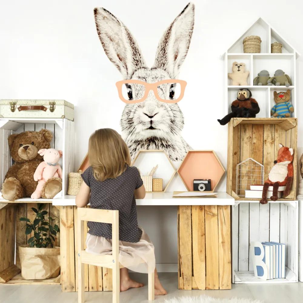 Samolepka na zeď - králík v brýlích Velikost: M, laminát: lesklý, Barva  doplňku: meruňková | Sousedé