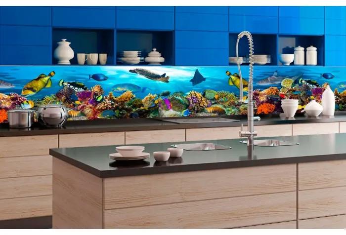 DIMEX | Fototapeta do kuchyně Ryby v oceánu KI-350-092 | 350 x 60 cm | vícebarevná, modrá