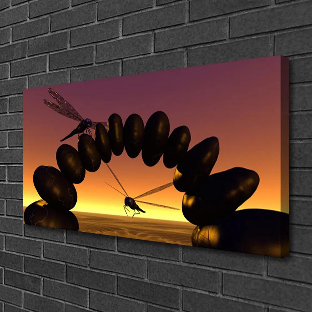 Obraz na plátně Vážky Kameny Umění 125x50 cm