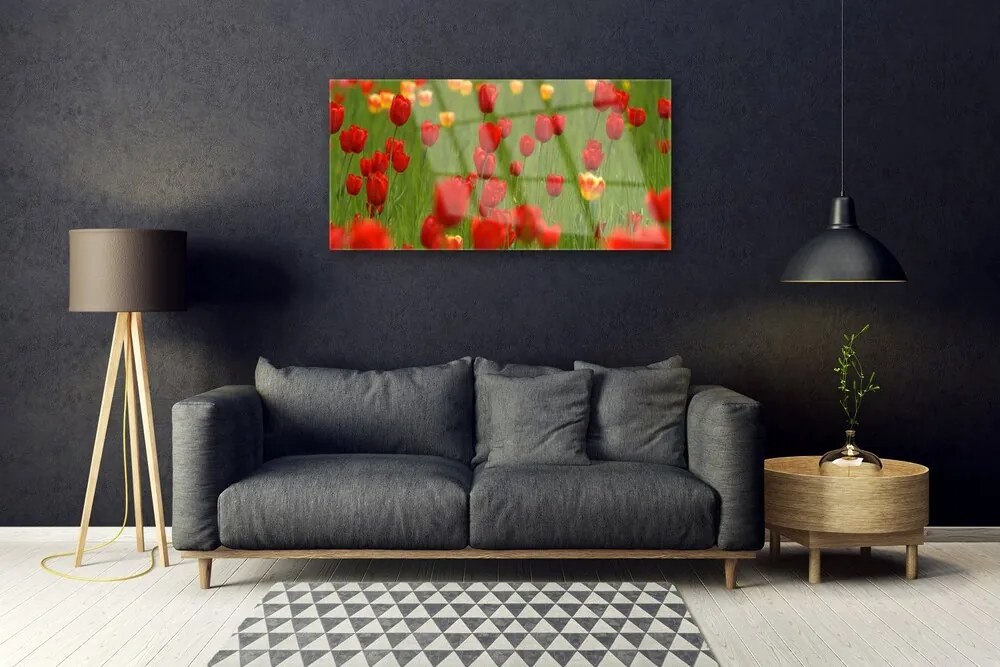 Obraz na skle Tulipány Rostlina 125x50 cm