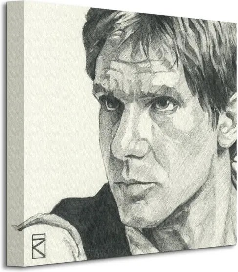 Obraz na plátně Star Wars Han Solo Sketch 30x30cm WDC91214