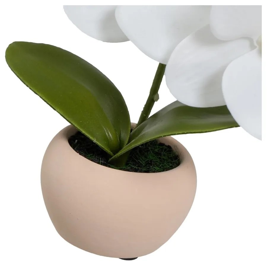 Umělé rostliny v sadě 3 ks (výška 15 cm) Orchid – Casa Selección