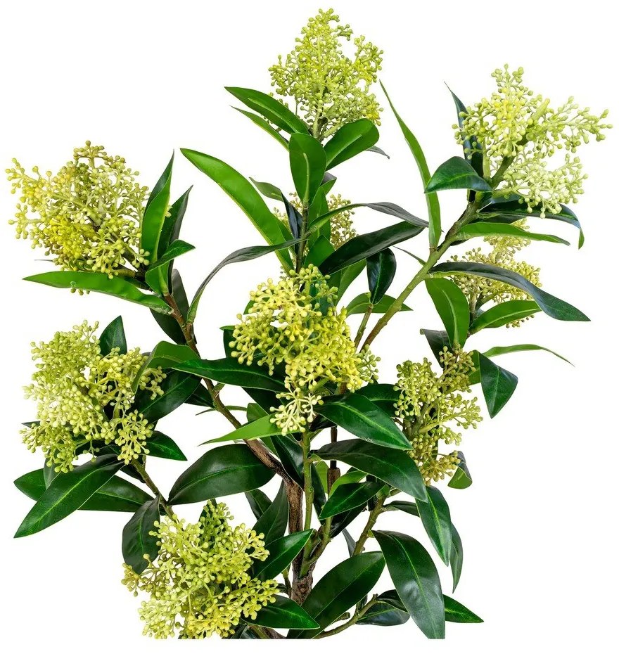 Umělá rostlina Skimmia – House Nordic