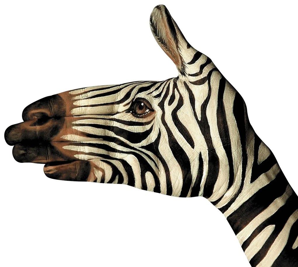 Extrapościel Oboustranný přehoz na postel 160x200 z mikrovlákna Zebra