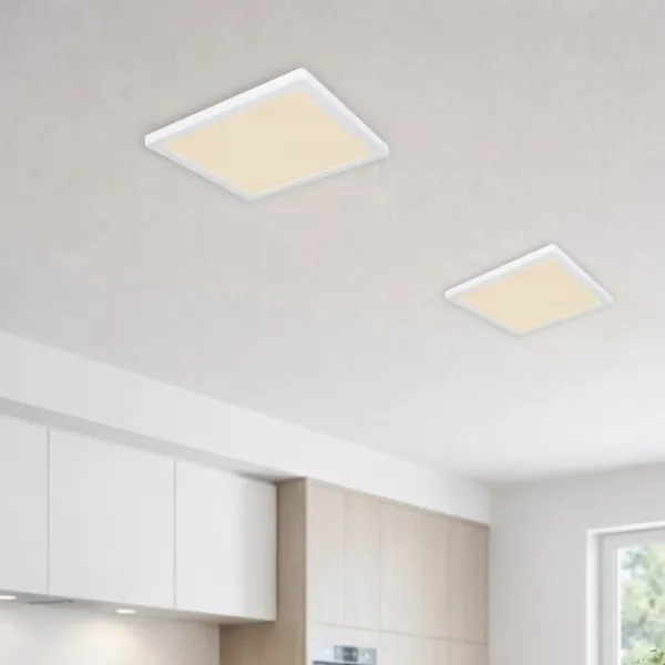 Globo 12380-24W - LED Stropní svítidlo LASSE LED/24W/230V 3000/4000/6500K bílá