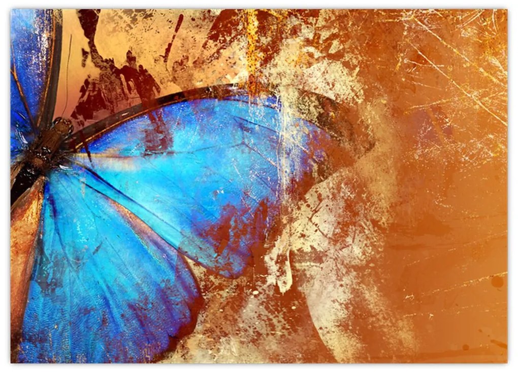 Obraz - Modrý motýl (70x50 cm)