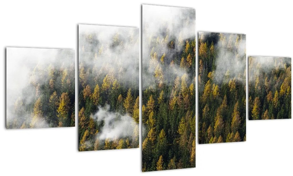 Obraz lesa v mracích (125x70 cm)