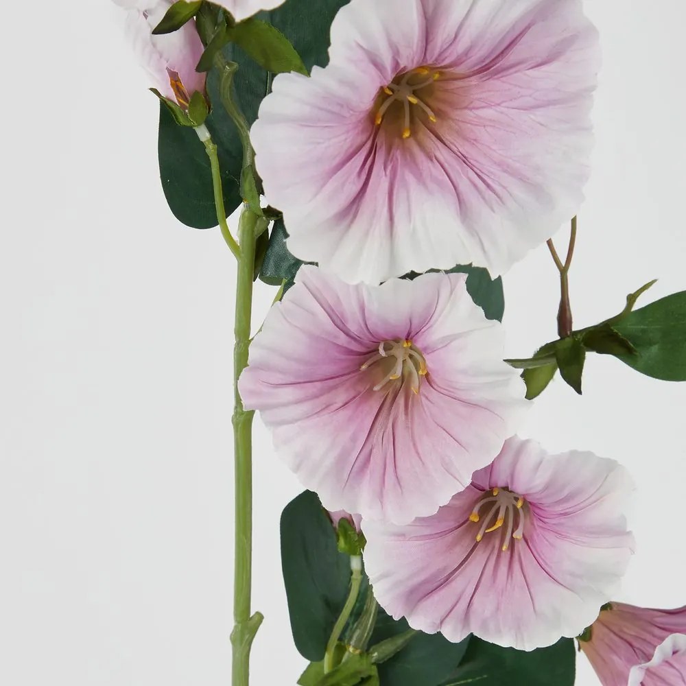 FLORISTA Povíjnice 76 cm - sv. růžová