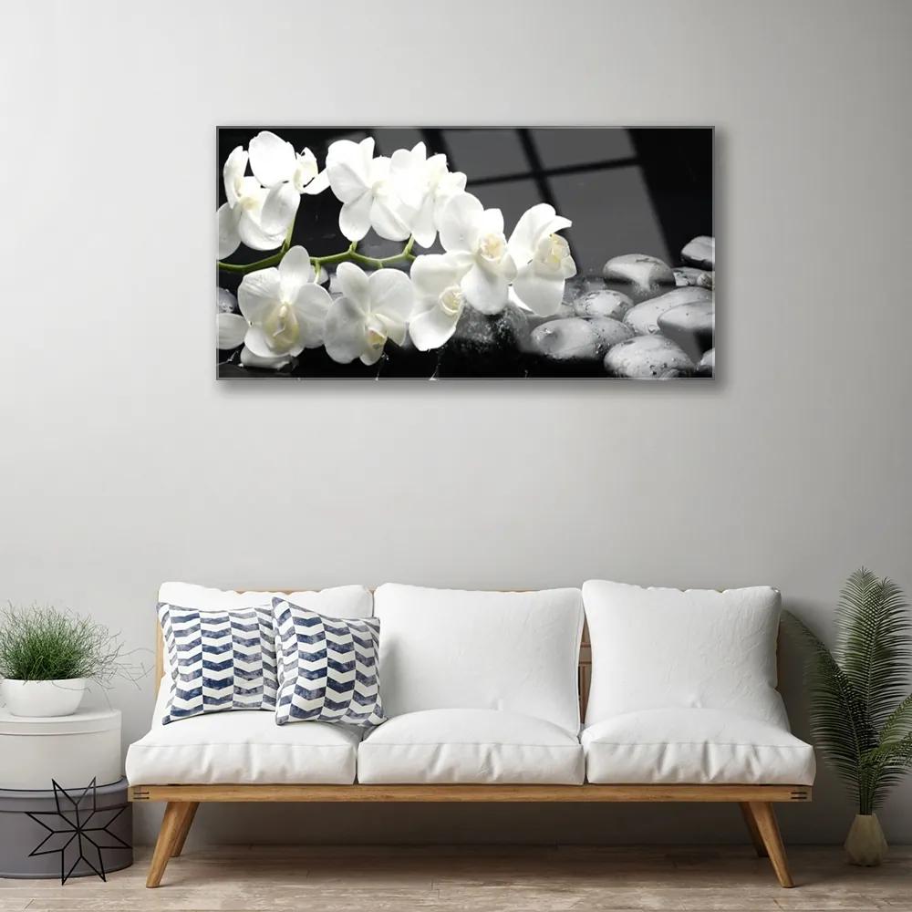 Obraz na skle Květ Kameny Rostlina 140x70 cm